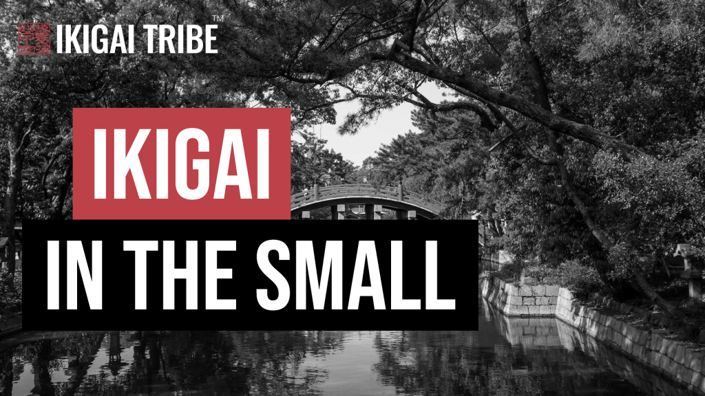 Ikigai Summit Videos