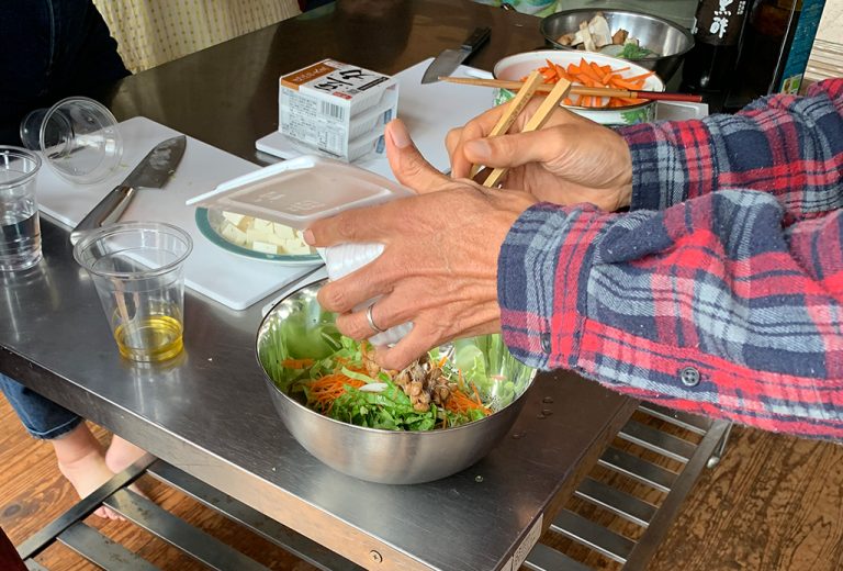 Find Your Ikigai and become a certified Ikigai Tribe Coach